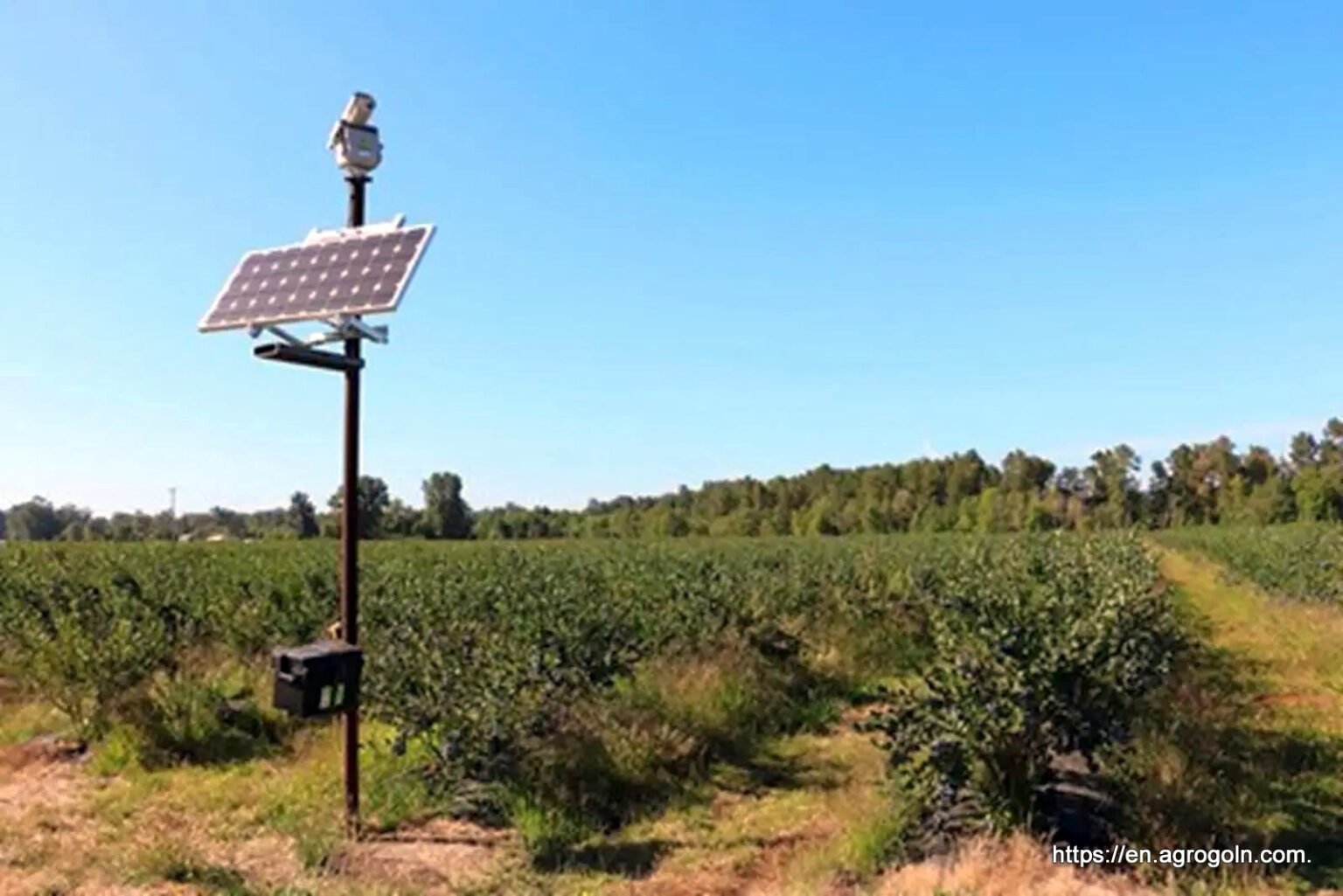 Laser Scarecrows Technology in Agriculture - Agro Gurukul, GOLN